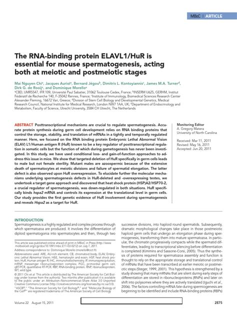 Mol Biol Cell 2011 Chi 2875 85 Pdf Meiosis Testicle