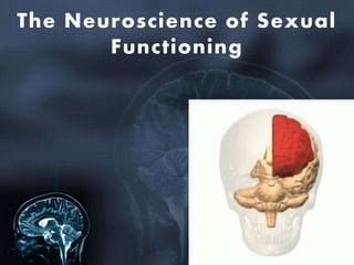 Sex And Brain Pptx