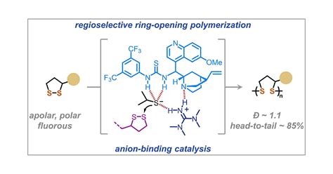Controlled And Regioselective Ring Opening Polymerization For Poly Disulfide S By Anion Binding