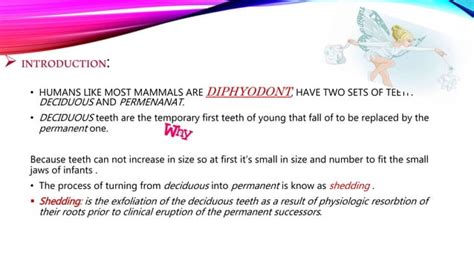 Shedding Of The Deciduous Teeth Pptx