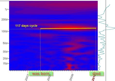 Wavelet Analysis And How To Apply It For Stock Market