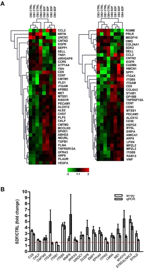 Microarray Analysis And Validation A Differential Gene Expression Of Download Scientific