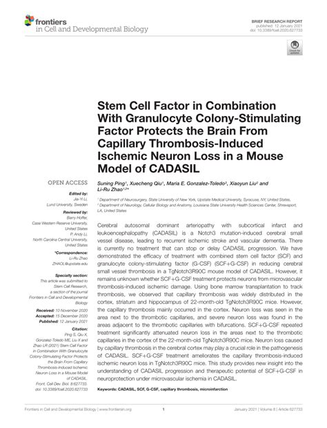Pdf Stem Cell Factor In Combination With Granulocyte Colony Stimulating Factor Protects The