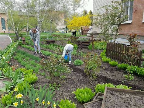 У Решетилівському ЗДО «Ромашка проводять озеленення території Решетилівщина Ua