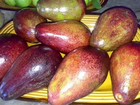 Ibat Ibang Uri Ng Prutas Proud To Be Filipino American