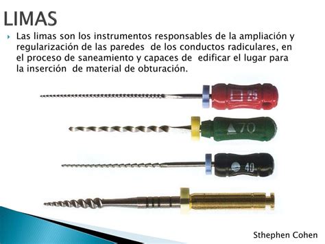 Tipos De Limas Endodonticas Braincp