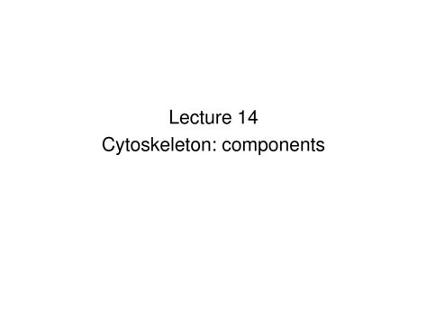 Ppt Lecture 14 Cytoskeleton Components Powerpoint Presentation Free