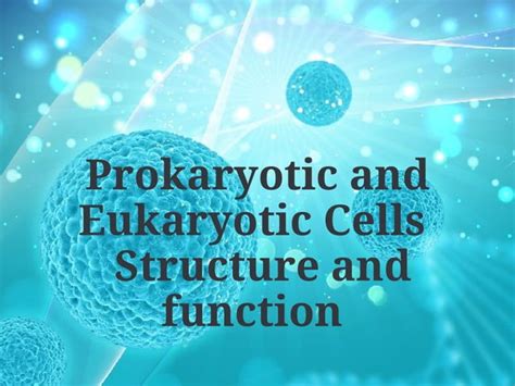 Prokaryotic And Eukaryotic Cells PPT Pptx