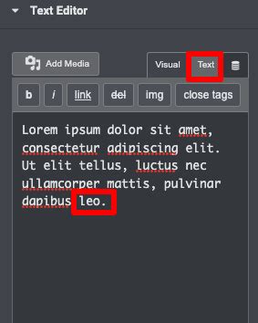 Remove Unwanted Space On Elementor Text Editor Widget ThemeOO Professional Elementor Blog