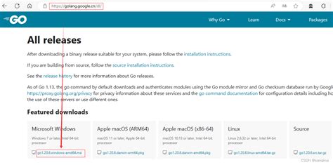 Vscode里安装go插件和配置go环境vscode Go Csdn博客 Vscode里安装go插件和配置go环境vscode Go Csdn博客