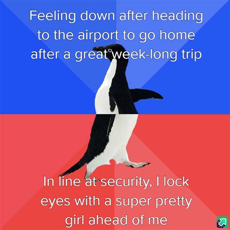 That Stupid Nonsensical Lovestruck Feeling Album On Imgur