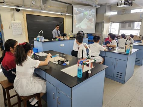 陳瑞祺喇沙小學 相簿