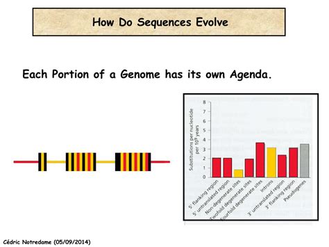Ppt Comparing Two Protein Sequences Powerpoint Presentation Free