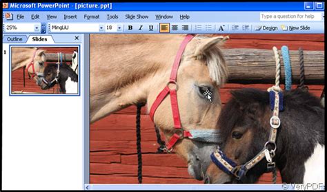 how to use the picture in a pdf file as my powerpoint background