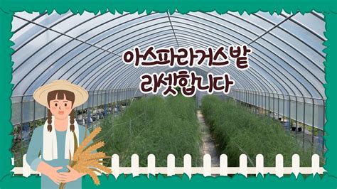 아빠한테 배우는 아스파라거스 밭 리셋하는 방법 청년농부 리틀파머스 이거팜 아스파라거스 Youtube
