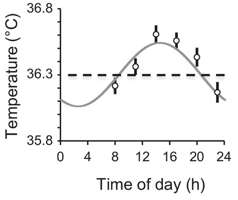 daily variation of body temperature average values ±sd of