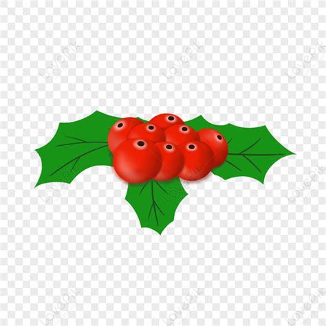 여러 레드 홀리 브로치 메리 크리스마스 일러스트붉은 과일리스트 Png 일러스트 무료 다운로드 Lovepik