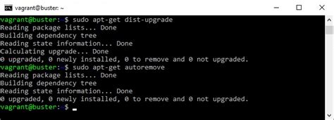 Setting Up A Debian Vagrant Box On Windows 10 With Virtualbox Shanes
