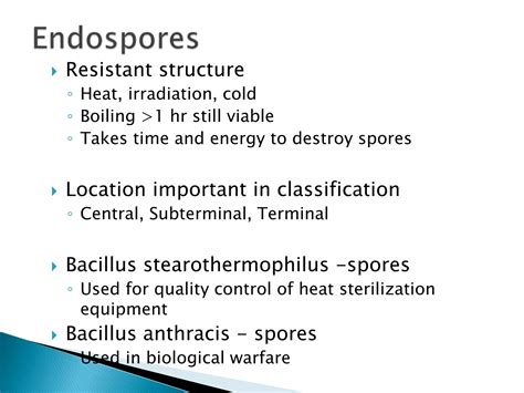Bacterial Cell Structure Function Pptx Biological Sciences Science