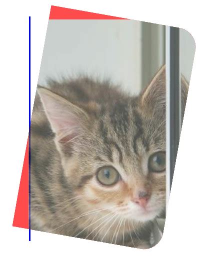 Css Positioning Upright Element Inside Rotated Container Stack Overflow