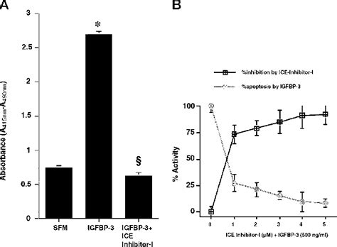 Figure 1 From Insulin Like Growth Factor Igf Binding Protein 3 Induces Apoptosis And Mediates