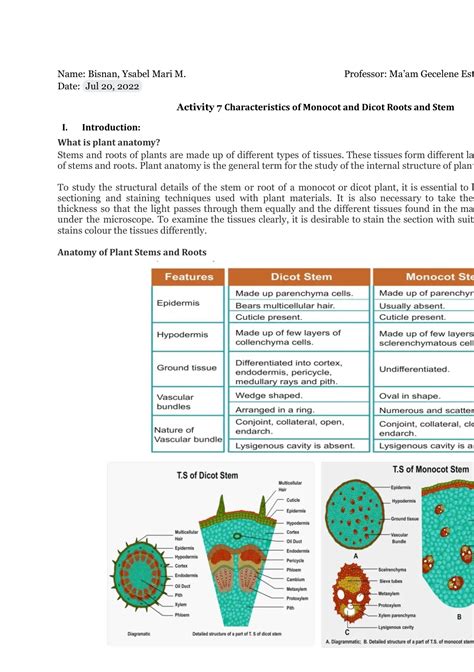 Characteristics Of Monocots And Dicots Worksheet Answers Amrita Olabs BSESSDP Stuvia UK
