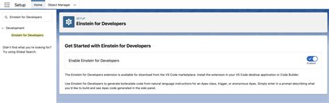 Einstein For Developers Apex Hours