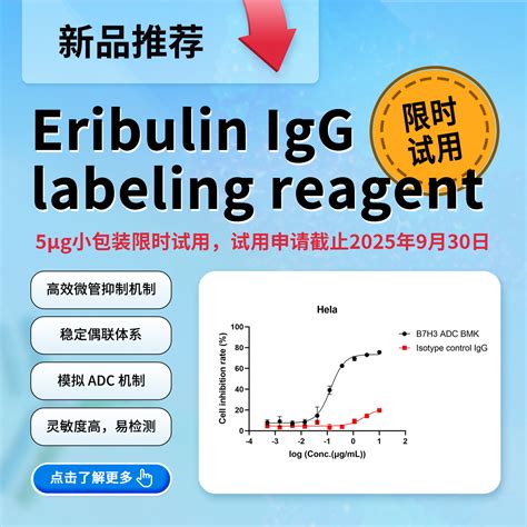 Nectin 4 Adc赛道新兴靶点 专注肿瘤免疫