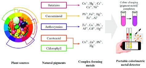 General Scheme Of Portable Colorimetric Metal Detector Using Natural Download Scientific