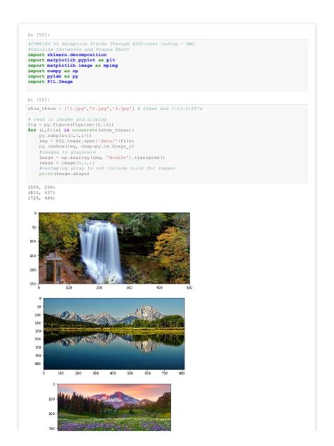 V1 Receptive Fields Through Efficient Coding Hw2 Pdf Principal Component Analysis Signal