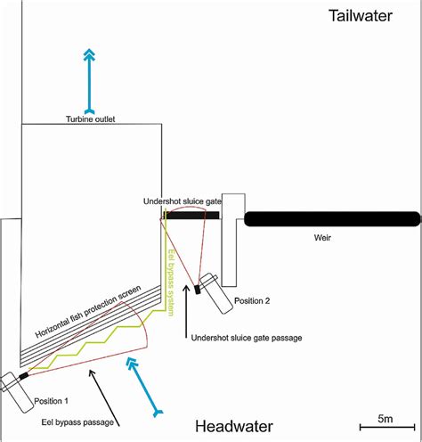 Top View Of The Study Site Eel Bypass System With The Fish Protection Download Scientific Top View Of The Study Site Eel Bypass System With The Fish Protection Download Scientific