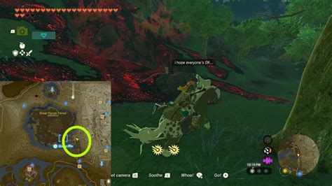 Legend Of Zelda Tears Of The Kingdom Deku Tree Khám Phá Bí Ẩn Cây Deku Trong Vũ Trụ Hyrule