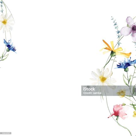 수채화 물감 꽃 프레임입니다 노란색 파란색 흰색 분홍색 야생화 서식 파일 여름 초원 그림 꽃 식물에 대한 스톡 벡터 아트 및 기타 이미지 Istock