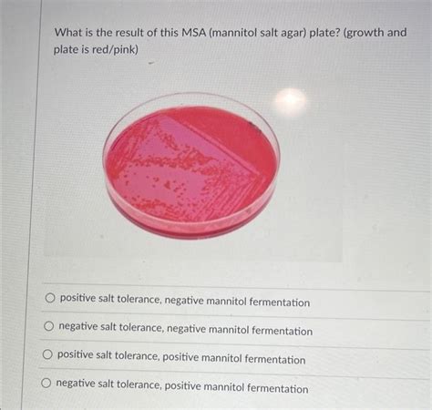 Solved What Is The Result Of This Msa Mannitol Salt Agar