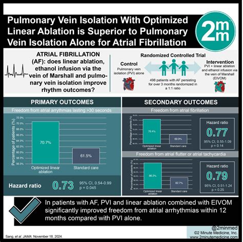 Visualabstract Pulmonary Vein Isolation With Optimized Linear