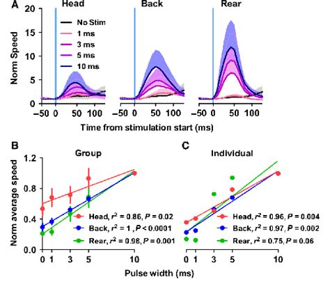 Increasing Pulse Width Of Photo Stimulation Increases Movement Velocity Download Scientific