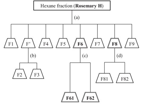 Scheme For Fractionation Of Rosemary Hexane Fraction Eluting Solvent Download Scientific