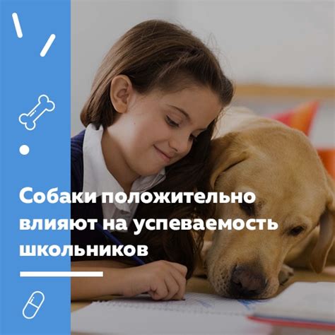 Собаки положительно влияют на успеваемость школьников Немецкие учёные из г Карлсруэ проводили