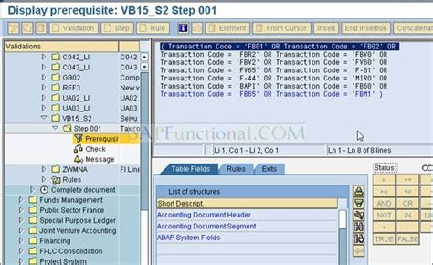 SAP Skills Validation Rules In FI