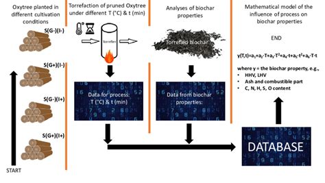 diagram of experimental design and data evaluation download