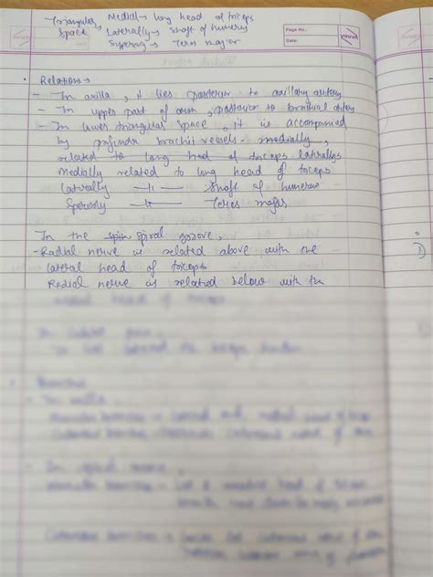 Solution Radial Nerve Notes Studypool Solution Radial Nerve Notes Studypool