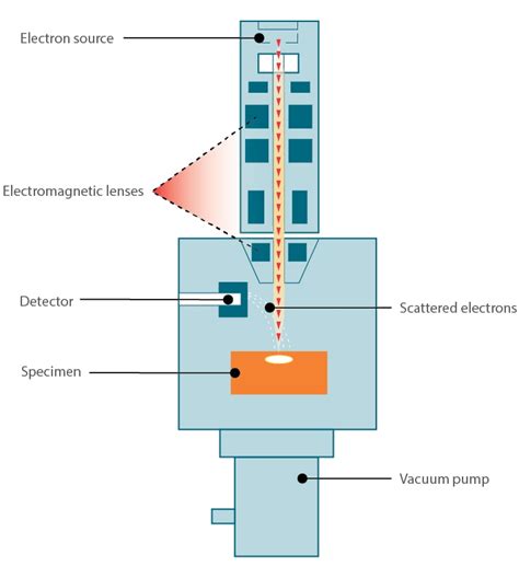 How Does An Electron Microscope Work Electron Microscopes Advancing Materials