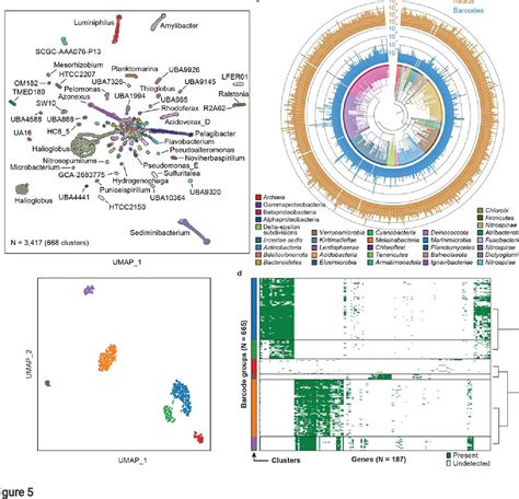 Figure 5 From Microbiome Single Cell Atlases Generated With A Commercial Instrument Semantic