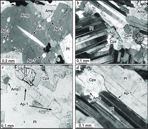 Parageneses Of Apatite And Silicate Minerals In The Unaltered