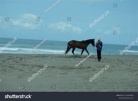 Java Traning Photos And Images