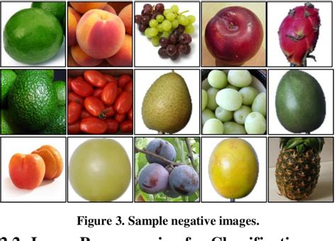 Figure 2 From Automatic Mango Detection Using Image Processing And Hog Svm Semantic Scholar