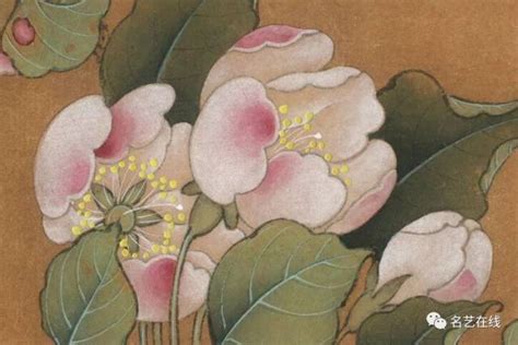 海棠花工笔画图片 海棠花工笔画 海棠花简笔画 大山谷图库