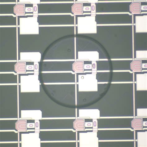 Hela Hcerepic Detect 2 Object Detection Dataset By Scratch