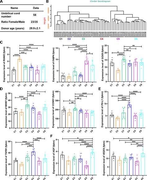 Transcriptomic Differences In Wj Mscs From 58 Donors A Sample Download Scientific Diagram
