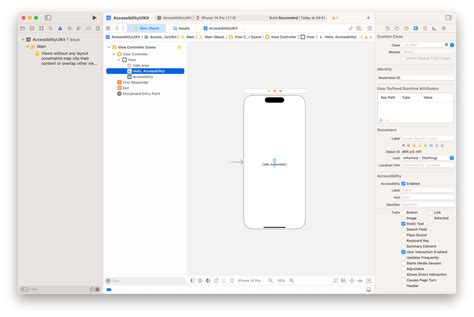 Understanding The Accessible User Interface